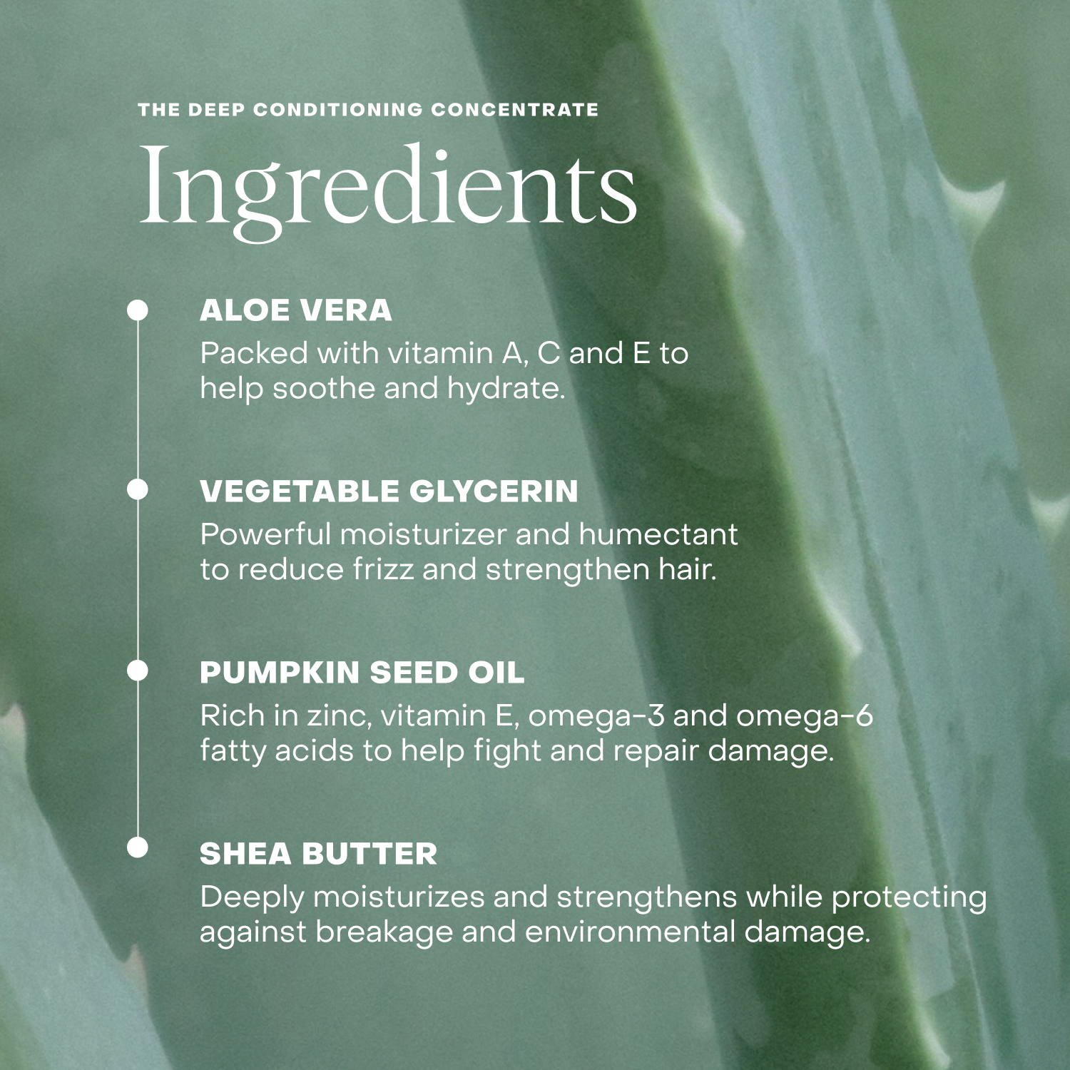 The Deep Conditioning Concentrate – Everist