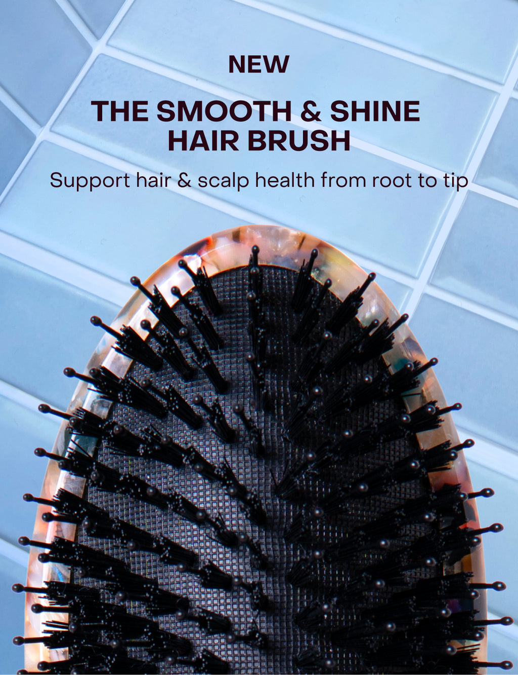 Shop Hair and Body Concentrates | Everist