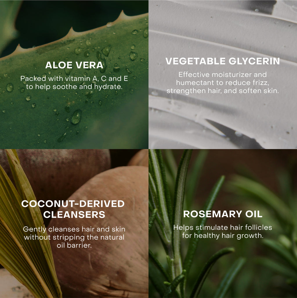 The Shampoo Concentrate – Everist