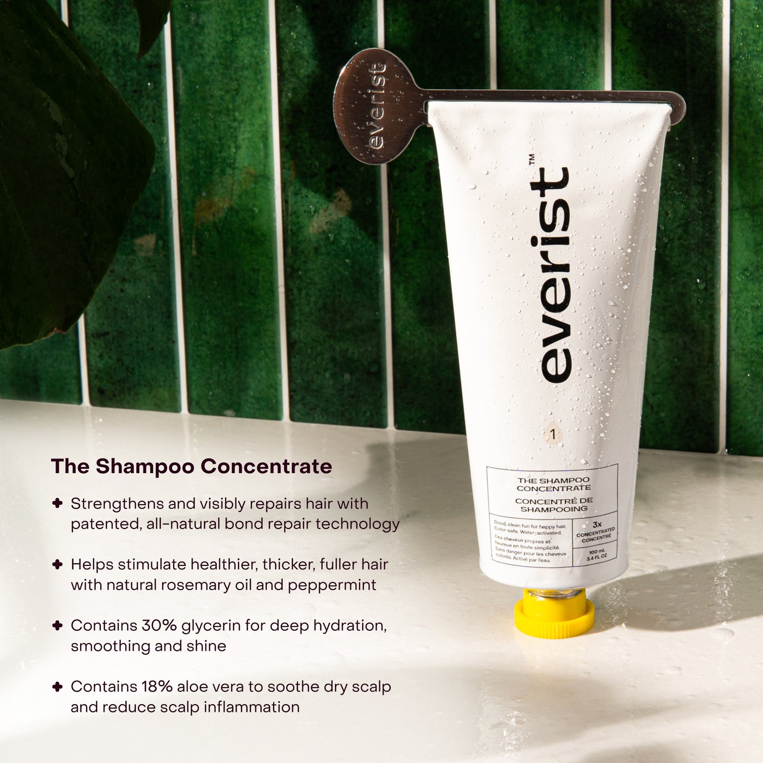 The Shampoo Concentrate – Everist