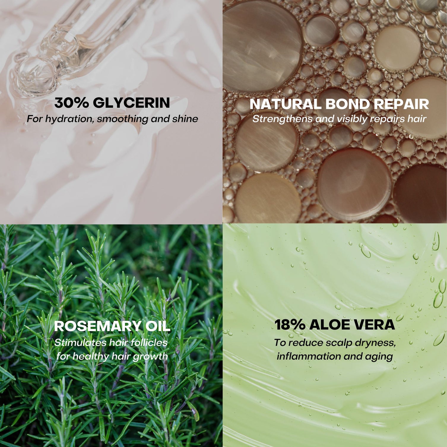 The Shampoo Concentrate – Everist